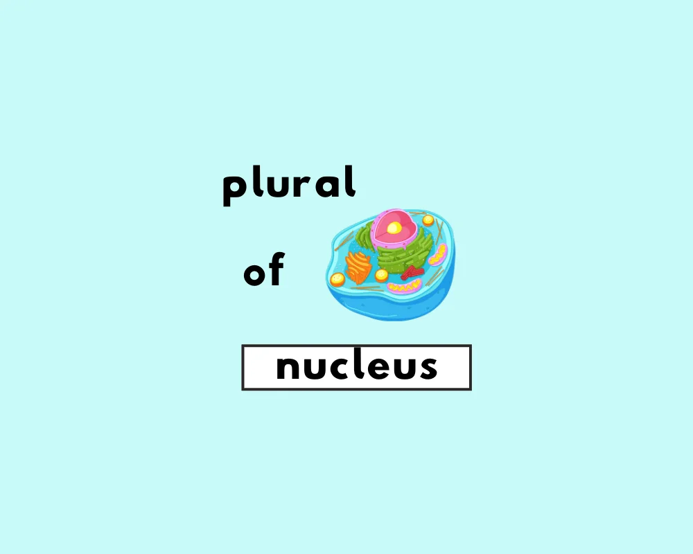 How to Use Nucleus Plural (Explained, Examples)