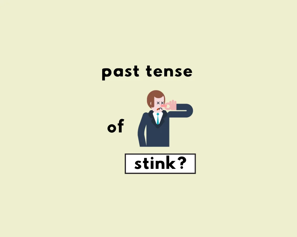 How to Use Stank or Stunk (Explained, With Examples) | Grammarflex