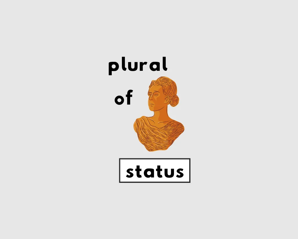 How to Use Status Plural (Explained, Examples) | Grammarflex