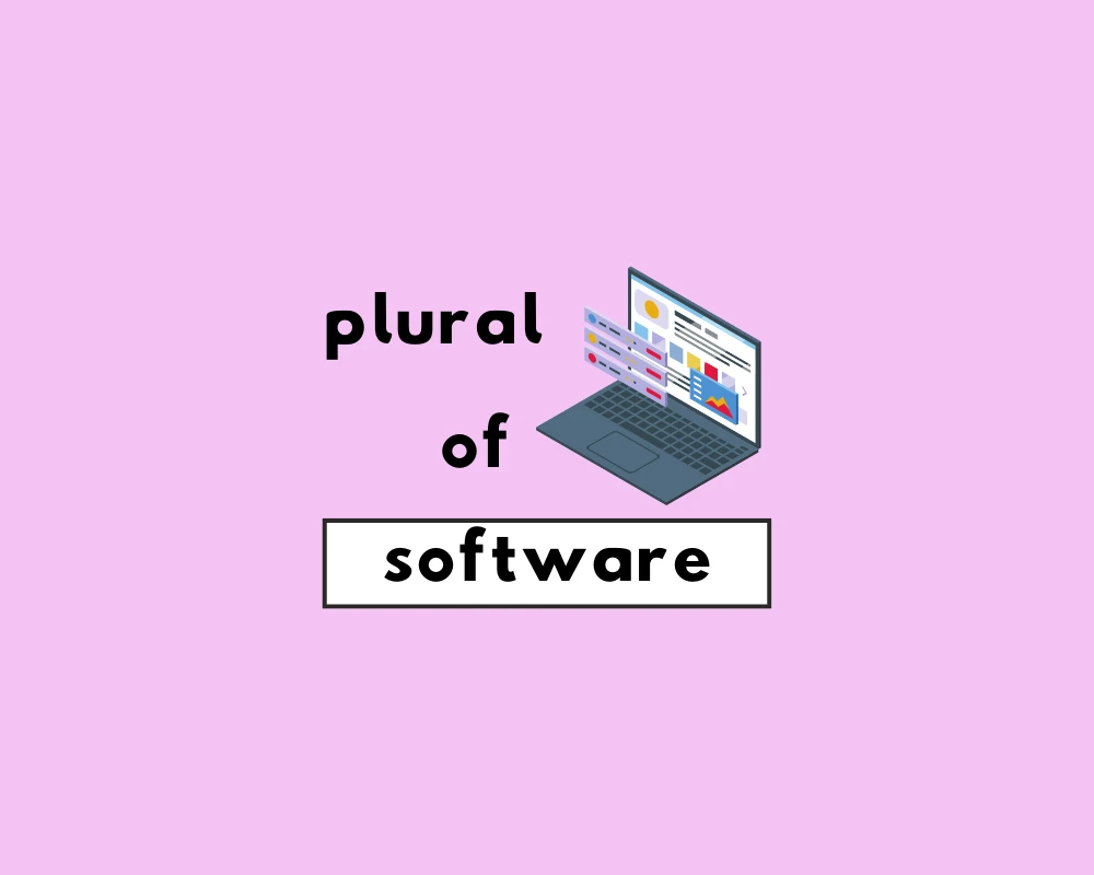 Is Software Plural or Singular? Plural of Software | Grammarflex