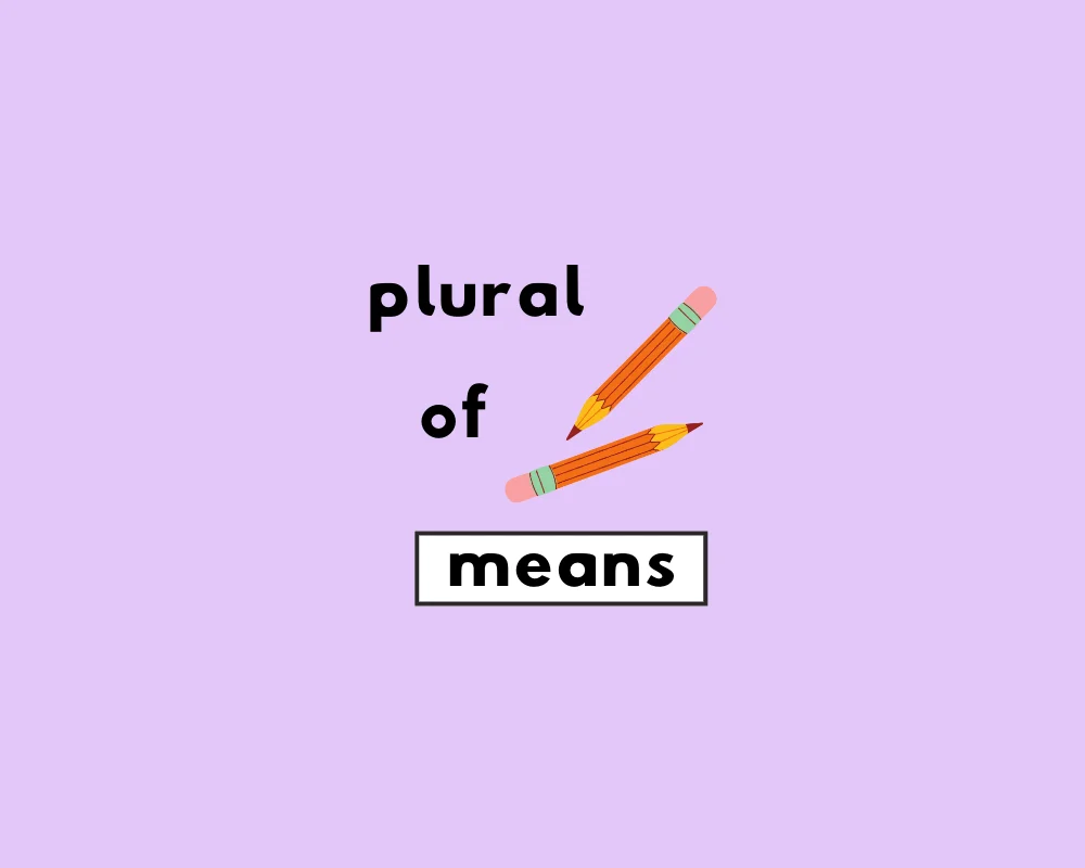 What’s the Singular of Means? | Grammarflex